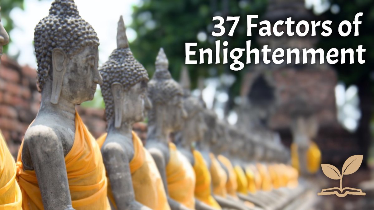 37 Enlightenment Factors – Daily Sutta Reading