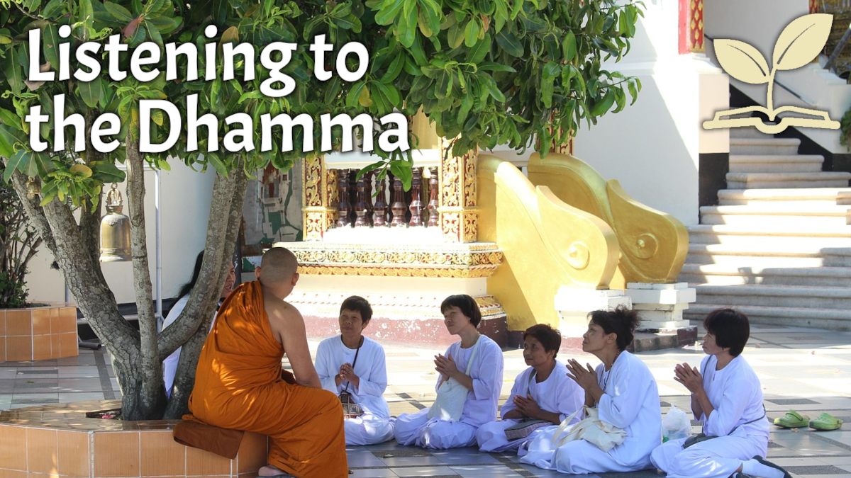 Listening to the Dhamma – Daily Sutta Reading